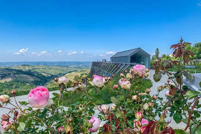 Private Full Day tour with fellow foodie as your guide - Key Points
