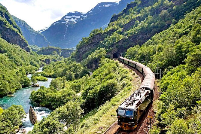 Private Full Day Trip From Oslo To Bergen with Sognefjord And Flam Railway - A Closer Look at the Itinerary