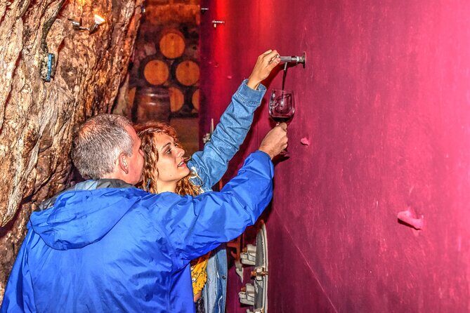 Private Full Day Wine Tour in Rioja - Authentic Experiences That Shine