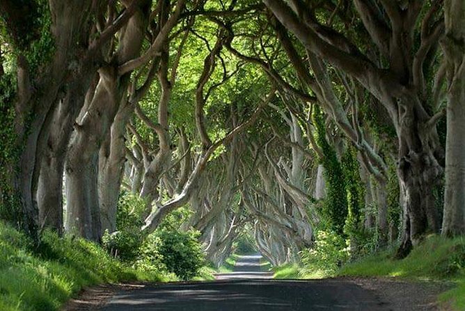 Private Game of Thrones including Giant's Causeway Causeway Coast Rope Bridge - Key Points