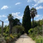 Private Game of Thrones Tour with King's Landing Garden - Authentic Experiences and What You’ll Take Away