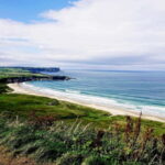 Private Giant's Causeway and Antrim Coast Tour - Practical Details and Value