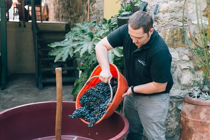 Private Grape stomping at Chianti Farmhouse - How This Tour Balances Cost and Value
