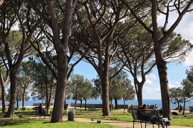 Private Guided Half Day Panoramic Tour in Naples - Practical Details: What to Expect