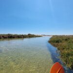 Private Guided kayak Tour/Birdwatching/Nature Tour. - Authentic Experiences and Real Feedback