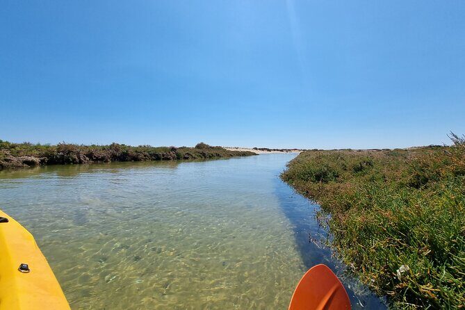 Private Guided kayak Tour/Birdwatching/Nature Tour. - Authentic Experiences and Real Feedback