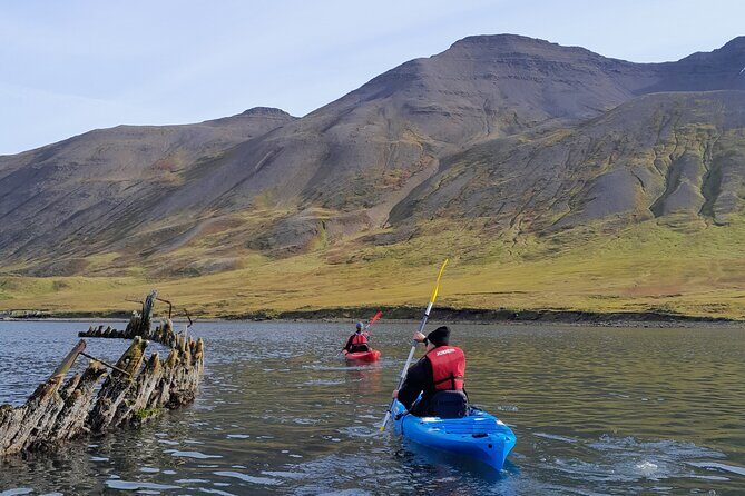 Private: Guided kayak tour in Siglufjörður / Siglufjordur. - What to Expect: From Gear to Gliding through Fjordscapes
