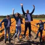 Private Guided Keukenhof Gardens and Zaanse Schans Tour - A Deep Dive into the Itinerary