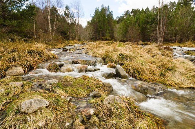 Private Guided Mountain Walking Experience in the Cairngorms - Key Points