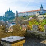 Private Guided Tour from Prague to UNESCO Kutna Hora - What Makes This Tour Stand Out?
