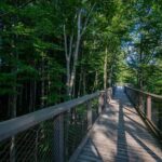 Private Guided Tour from Vienna to Hallstatt with Cable Car & Treetop in Gmunden - Gmunden: Austria’s Salt City