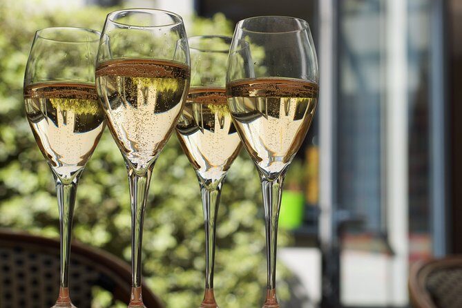 Private Guided Tour in Champagne from Paris with Moet&Chandon visit. - What Makes This Tour Stand Out
