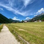 Private Guided Tour in the Dolomites from Venice - Analyzing the Experience: Value and Expectations