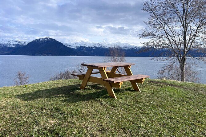 Private Guided Tour of Bergen and the Best of Norwegian Fjords - The Value of a Private, Customizable Experience