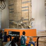 Private Guided Tour of Natural History Museum - Skip the Line - The Sum Up: Who Should Consider This Tour?