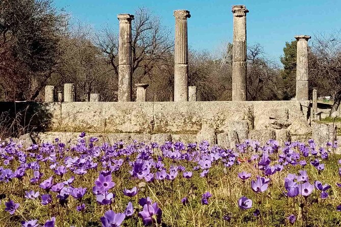 Private Guided Tour of the Archaeological Site and Museum of Olympia - A Detailed Look at the Private Guided Tour of Olympia’s Archaeological Site and Museum