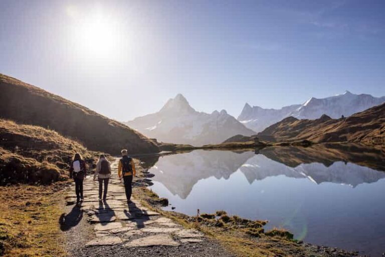 Private Guided Tour to Grindelwald First from Zurich - Who Will Love This Tour?