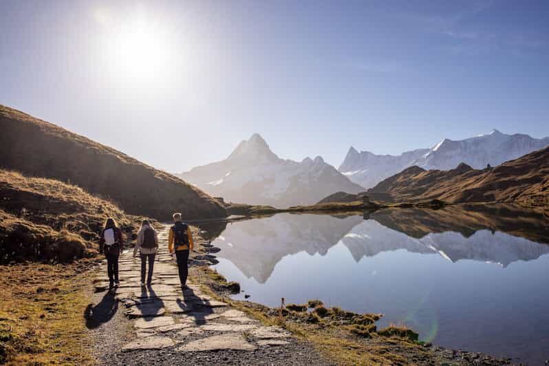 Private Guided Tour to Grindelwald First from Zurich - Who Will Love This Tour?