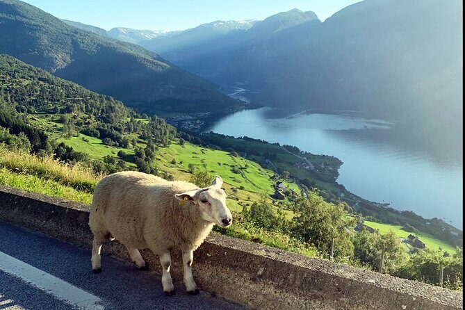 Private Guided Tour to Oslo Nærøyfjord Cruise and Flåm Railway - The Historic Charm of Stalheimskleiva