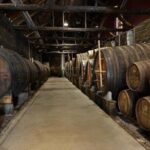 Private Half-Day Douro Tour - Pricing and Value Considerations