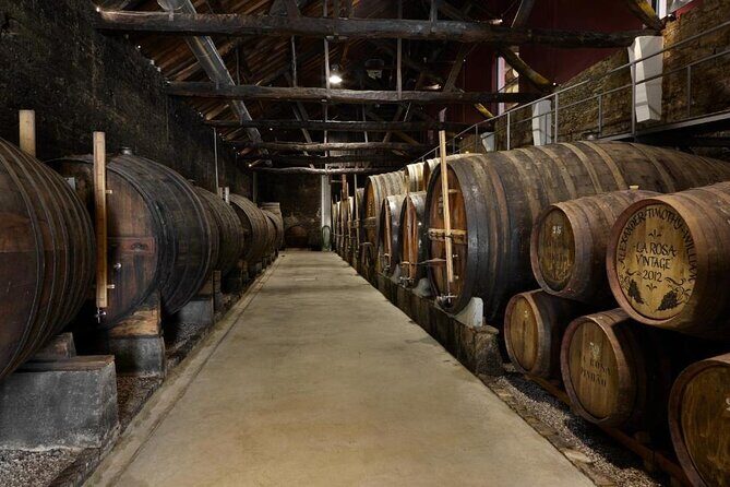 Private Half-Day Douro Tour - Pricing and Value Considerations