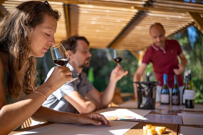 Private Half-Day Languedoc Wine Tour from Sète - An Honest Look at the Private Half-Day Languedoc Wine Tour from Sète