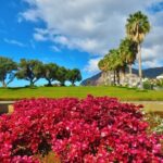 Private Half-Day Morning 4x4 Tour from Funchal - Why It Works Well