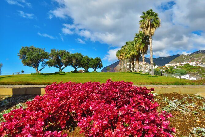 Private Half-Day Morning 4x4 Tour from Funchal - Why It Works Well