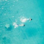 Private - Half day sailing on a modern 36ft from Zadar (up to 8 travellers) - Final Thoughts on Value and Experience