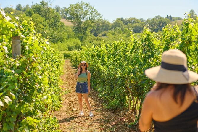 Private Half-Day Tour from Florence to Chianti Wine Region - Key Points