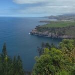 Private Half-Day Tour in Furnas São Miguel Island - The Sum Up