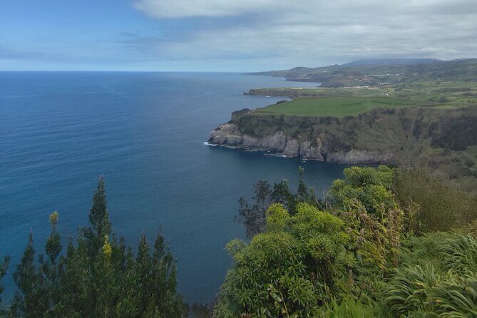 Private Half-Day Tour in Furnas São Miguel Island - The Sum Up