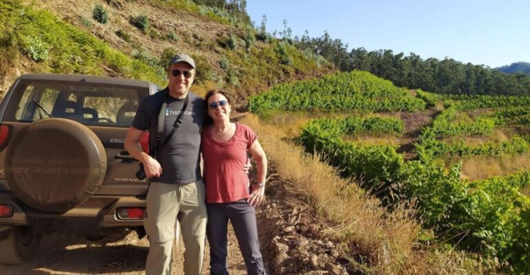 Private Half-Day Tour of Wine Fields - The Transport and Duration