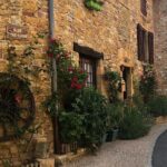 Private half-day tour to Golden Stone Beaujolais with tastings - Authentic Experiences and Guest Feedback