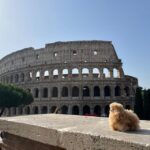 Private Half-day tour to Vatican - What Makes This Tour Special?