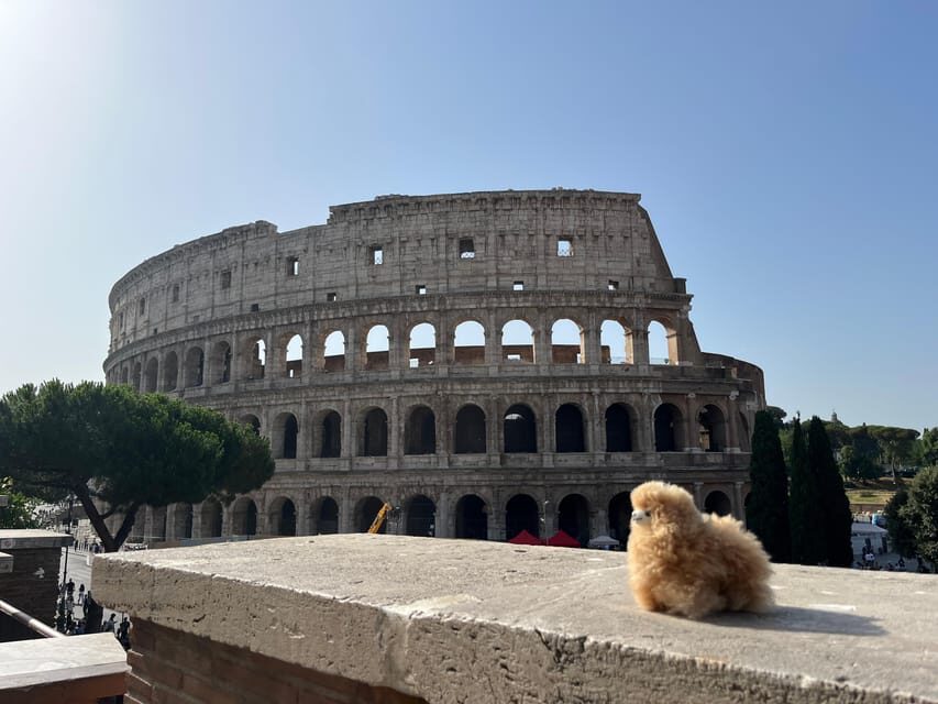 Private Half-day tour to Vatican - What Makes This Tour Special?