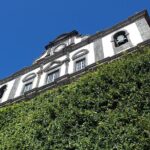 Private Half-Day Walking Tour of Horta Experience - Final Thoughts: Who Will Benefit from This Tour?