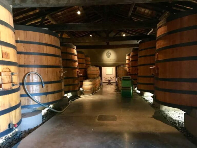 Private Half-Day Wine Tour in Citroën 2CV - Why Choose This Tour? A Deep Dive