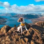 Private Harry Potter, Glenfinnan Viaduct, Highlands tour Glasgow - Why This Tour is a Great Choice