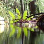 Private hike along the Levada - Why This Tour Might Be Perfect for You