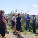 Private Hike and Wine Experiences in Chianti - Deep Dive into the Highlights