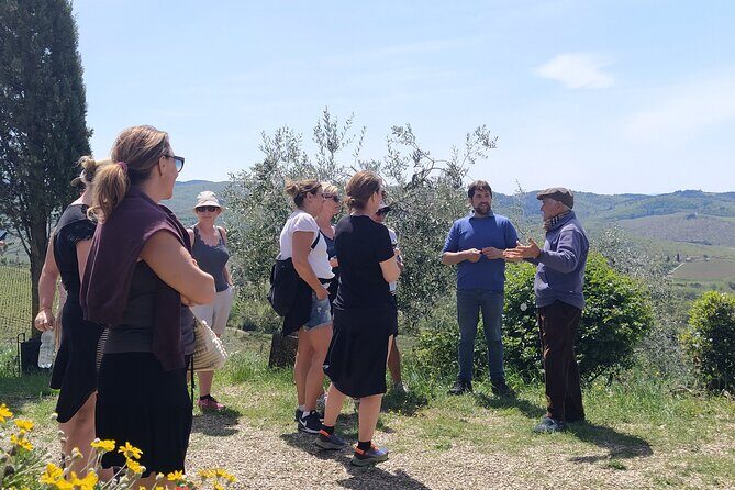 Private Hike and Wine Experiences in Chianti - Deep Dive into the Highlights