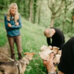 Private Hike: Brecon Beacons Henrhydd Falls Plus Foraging - The Itinerary in Detail