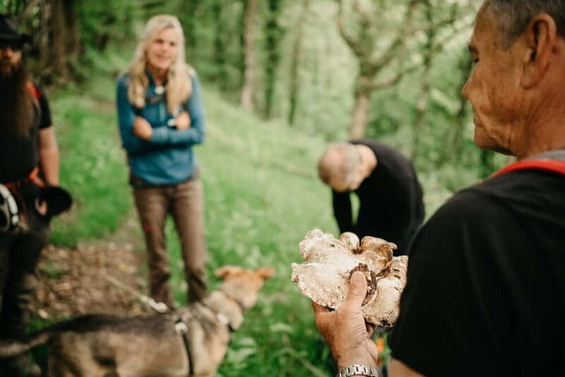 Private Hike: Brecon Beacons Henrhydd Falls Plus Foraging - The Itinerary in Detail