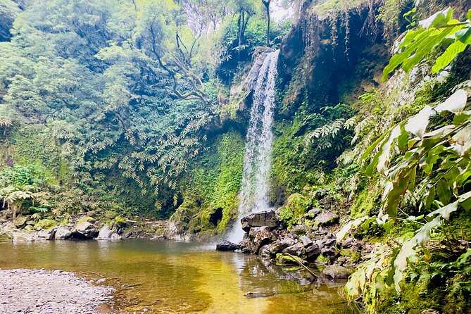 Private Hike - Discover São Miguels Craters, Lakes & Waterfalls - The Experience: A Deep Dive Into São Miguel’s Natural Treasures