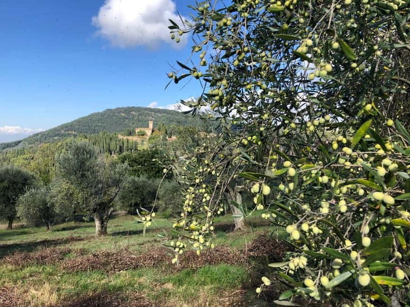 Private Hiking Florence Tour with Wine and Lunch or semi-pri - The Practical Side: What To Expect