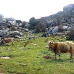 Private hiking in El Torcal from Marbella or Malaga - A Closer Look at the Itinerary
