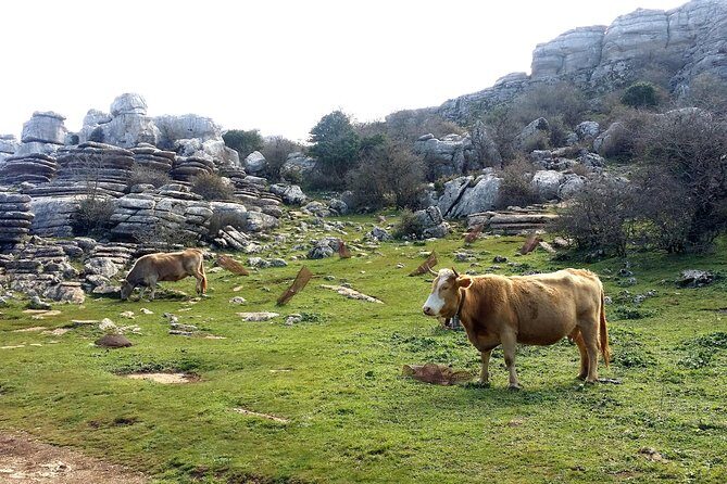 Private hiking in El Torcal from Marbella or Malaga - A Closer Look at the Itinerary