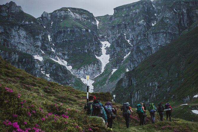 Private Hiking to Bucegi Natural Park from Brasov - The Itinerary in Detail