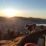 Private hiking tour Bergen mountains like a local - What to Expect from the Experience